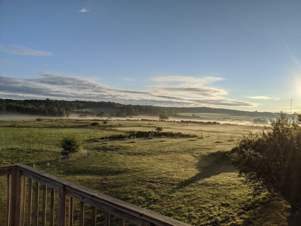 About Us - Snowy Brook Farm